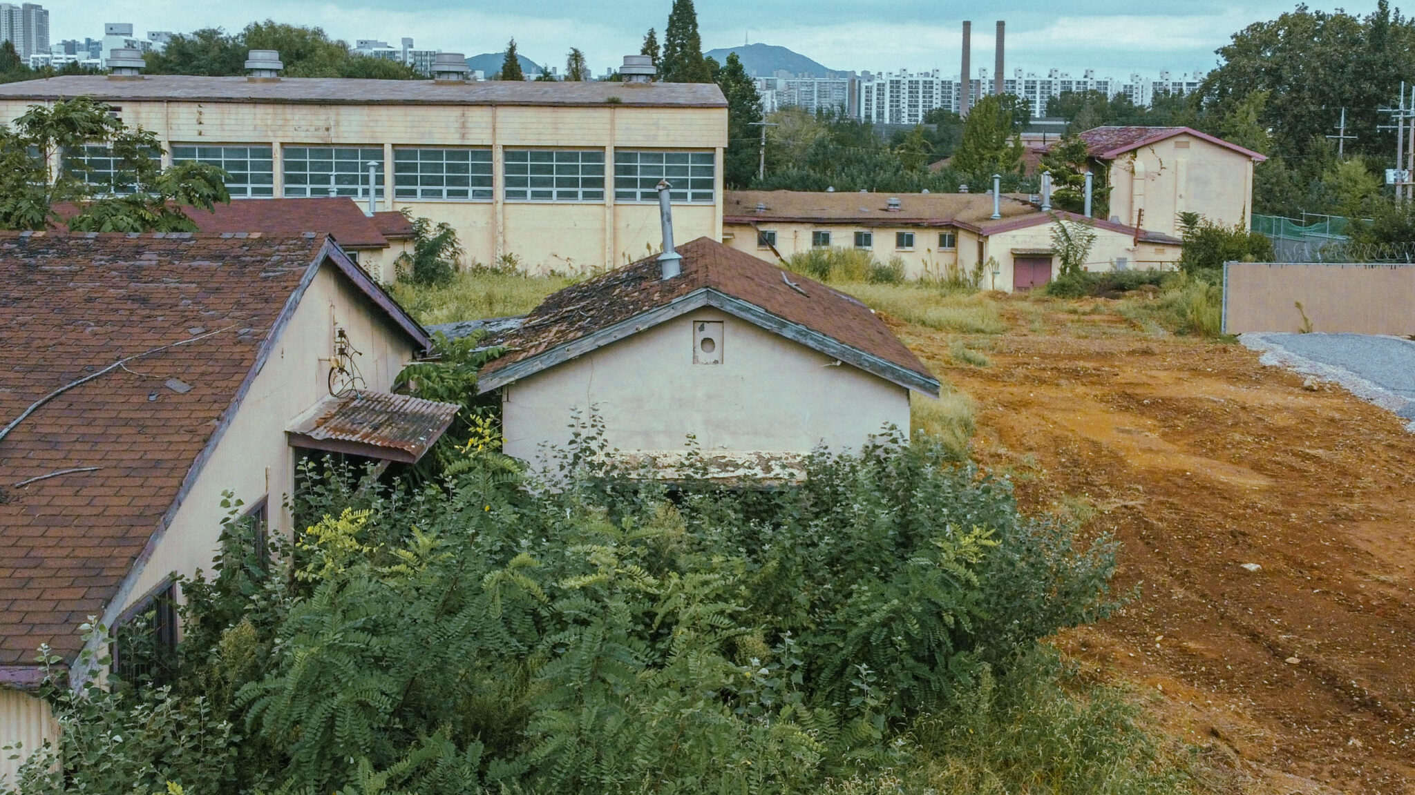 Unknown 1 - Camp Market