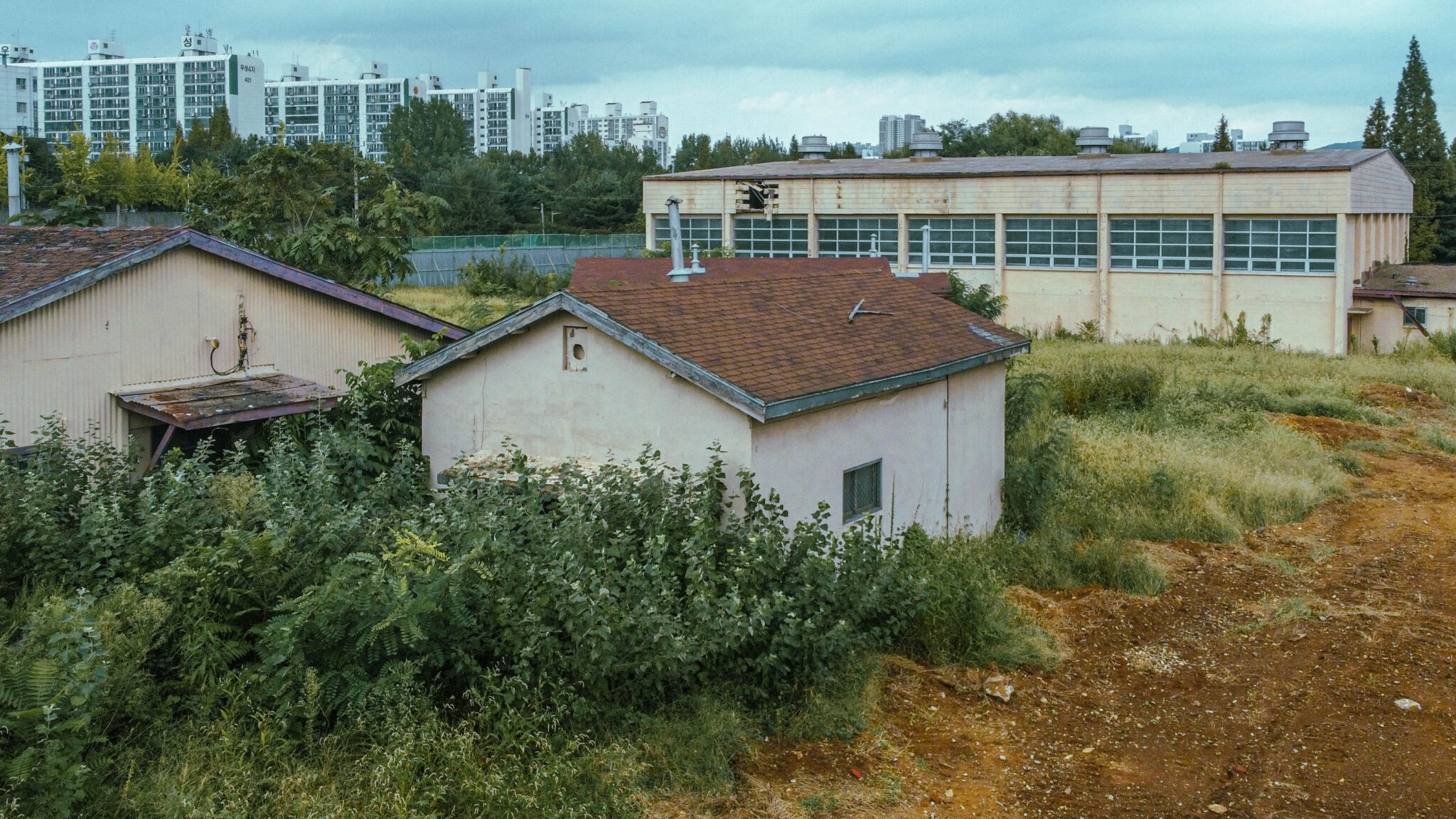 Unknown 1 - Camp Market